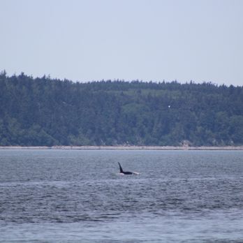 FRS CLIPPER - Updated February 2025 - 340 Photos & 428 Reviews - 2701 ...