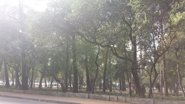 PARQUE GANDHI - Updated October 2025 - Bosque de Chapultepec, México, D ...