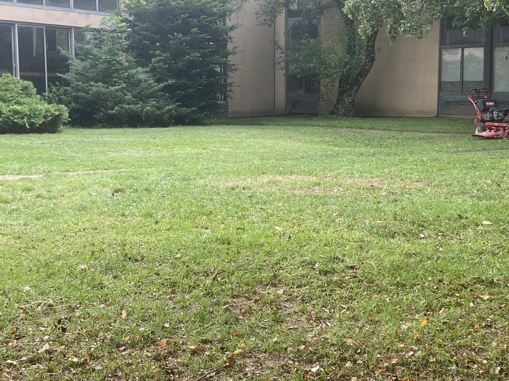 CUTTING EDGE LAWN CARE - Updated March 2025 - Request a Quote - Rutland ...