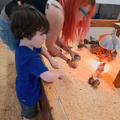 FRIENDLY FARM - Updated July 2025 - 18 Photos & 21 Reviews - 716 Main ...