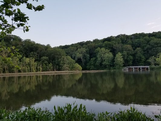 GRIFFY LAKE NATURE PRESERVE - Updated June 2024 - 52 Photos & 12 ...