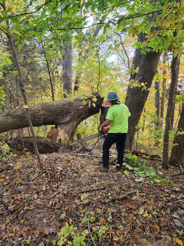 TROUBLESOME TREE SERVICE - Updated July 2024 - Request a Quote ...