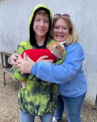 ROSE BRIDGE FARM & SANCTUARY - Updated June 2024 - 181 Photos & 68 ...