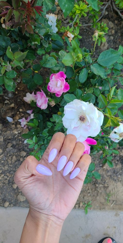 PALACE NAILS - 295 Photos & 261 Reviews - 16204 Parthenia St, North ...