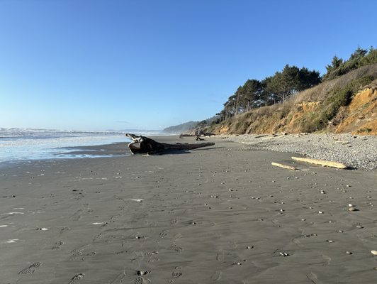 TREE OF LIFE - Updated May 2024 - 35 Photos & 13 Reviews - 101 Old ...