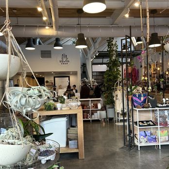 WINTER SWAN COFFEE - Updated May 2024 - 46 Photos & 16 Reviews - 43 ...