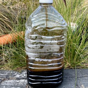 DISCOUNT TIRE - Updated October 2025 - 122 Photos & 488 Reviews - 9019 ...