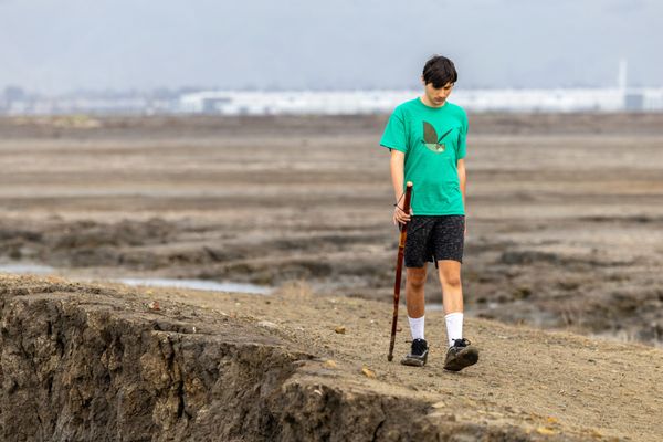 ALVISO MARINA COUNTY PARK - Updated October 2025 - 1749 Photos & 228 ...