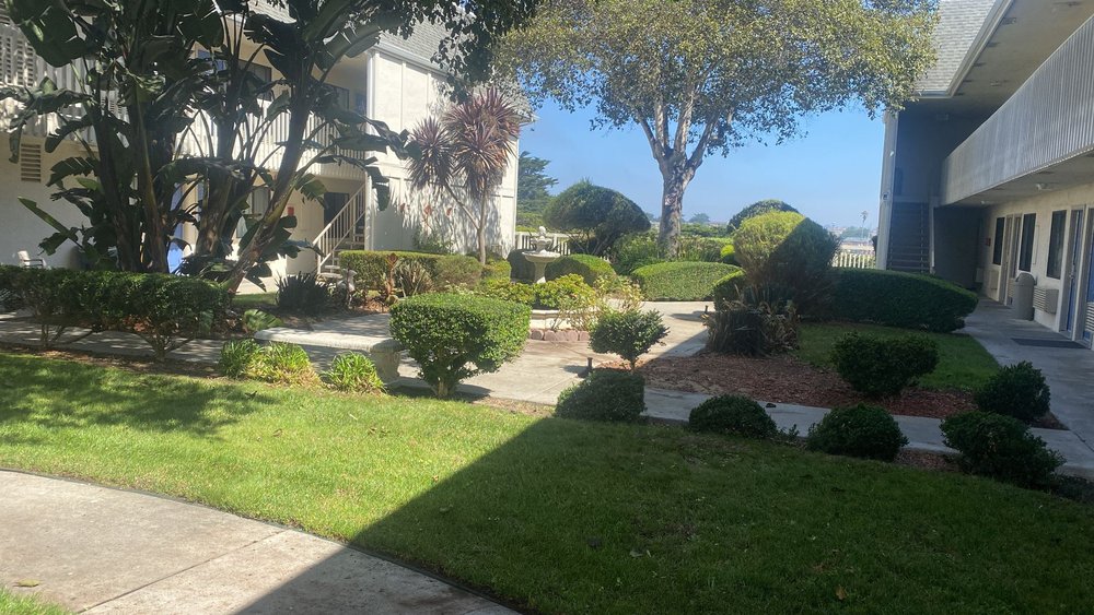 PEPE’S LANDSCAPING - Updated March 2024 - 22 Photos - 403 Serenade Way ...