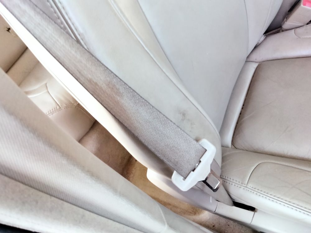 IT’S IN THE DETAILS MOBILE CAR CARE - Updated August 2025 - 22 Photos ...