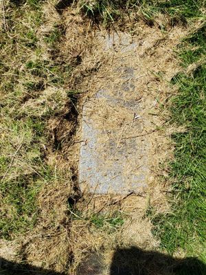 EVERGREEN WASHELLI FUNERAL HOME - Updated December 2025 - 54 Photos ...