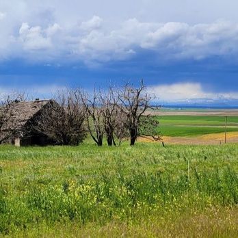 GOLDENDALE MOUNTAIN IDENTIFIER - Updated October 2025 - 13 Photos - US ...