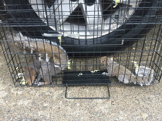 CATCH A CRITTER - Updated October 2025 - 19 Photos - 23500 Mercantile ...