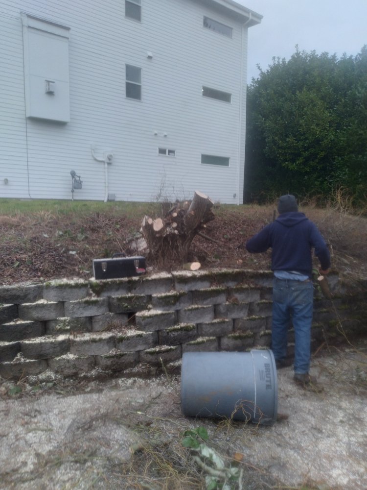 LOW RATE HAULING & YARD CLEAN UP - Updated September 2025 - 68 Photos ...