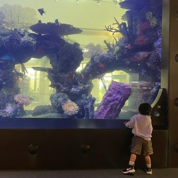 CERRITOS LIBRARY - Updated June 2025 - 1564 Photos & 500 Reviews ...