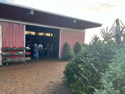 FOX RIDGE TREE FARM - Updated August 2025 - 13145 NW Fox Ridge Rd ...