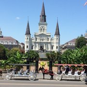 CARRIAGE RIDES BY ROBIN COFFEY | 10 Photos & 25 Reviews - 751 Decatur ...
