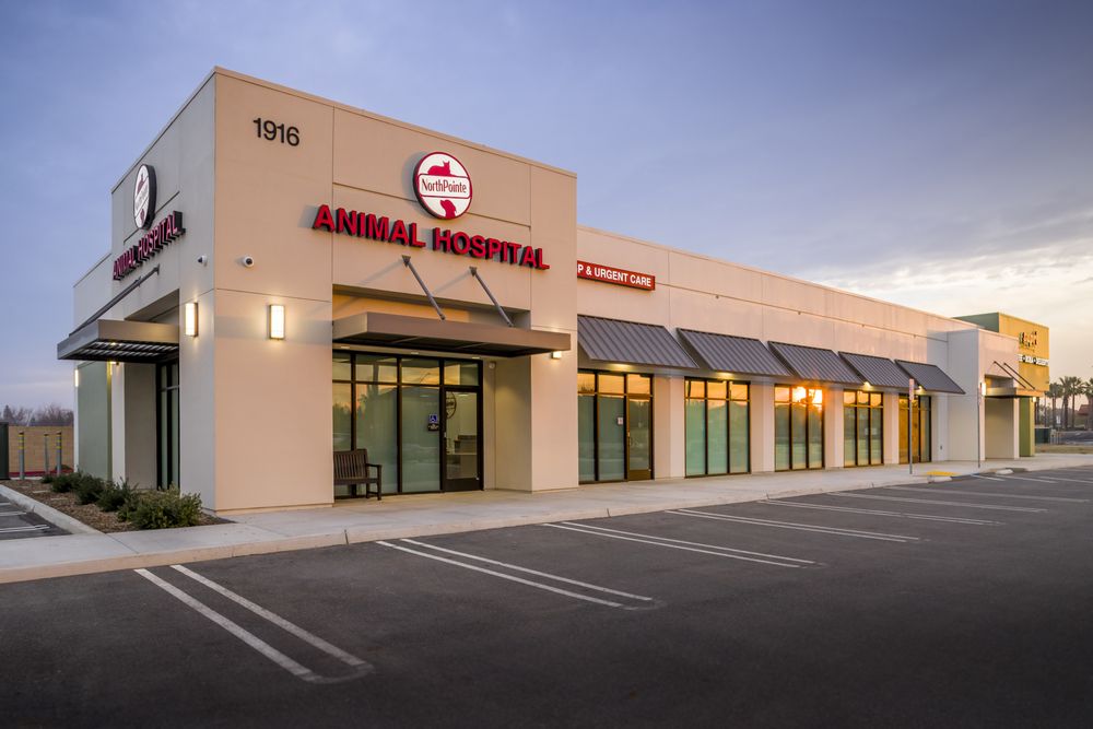 NORTHPOINTE ANIMAL HOSPITAL - Updated December 2025 - 33 Photos & 47 ...