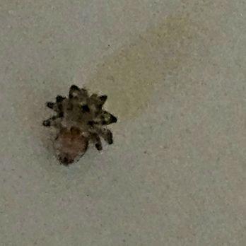 CONREX PROPERTY MANAGEMENT - Updated December 2025 - 161 Photos & 54 ...