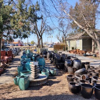 CALVERT’S PLANT INTERIORS - Updated October 2025 - 77 Photos & 23 ...