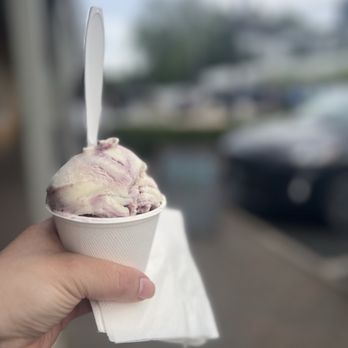 ROCOCO ICE CREAM - Updated July 2024 - 203 Photos & 330 Reviews - 8 ...