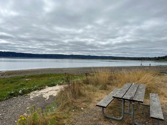 POTLATCH STATE PARK - Updated June 2024 - 55 Photos & 32 Reviews ...