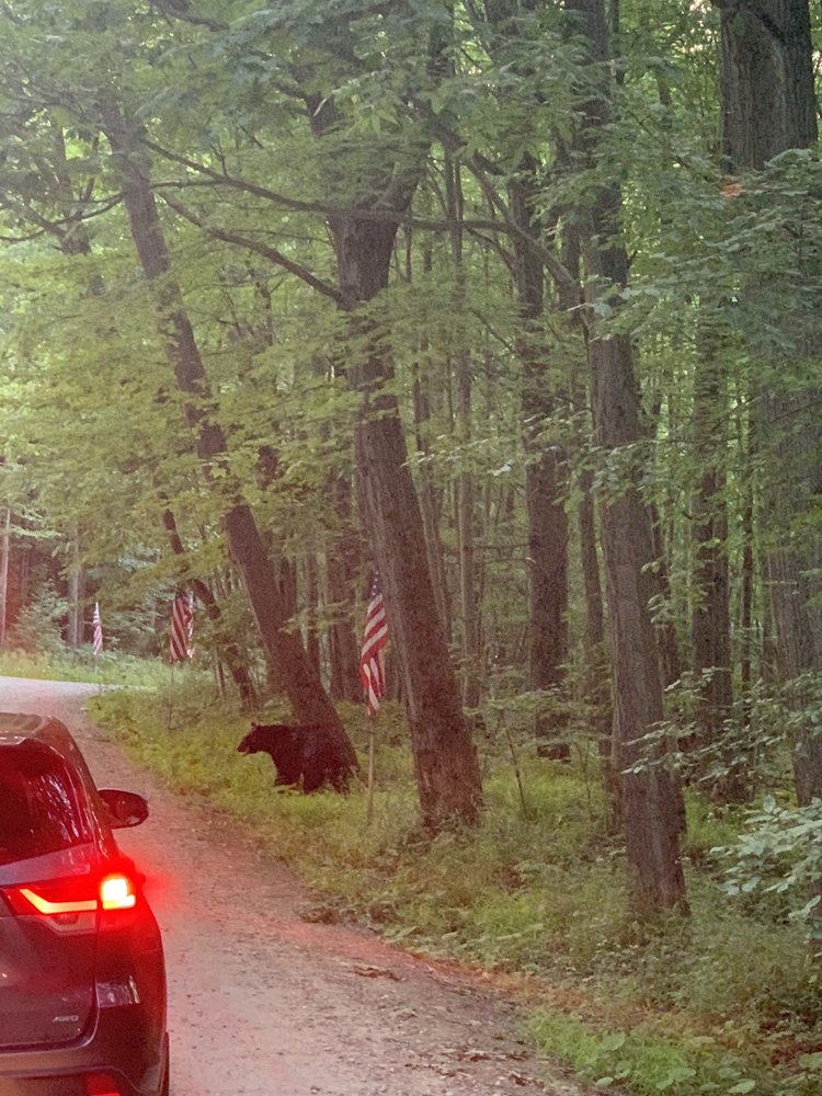 RED OAK CAMPGROUND - Updated June 2024 - 29 Photos - 225 Norman Rd ...