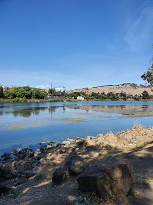 DAN FOLEY PARK - Updated June 2024 - 68 Photos - 1461 N Camino Alto ...