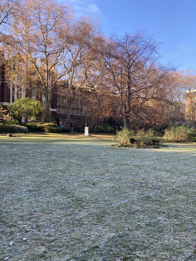 GORDON SQUARE - Updated December 2024 - Gordon Square, London, United ...