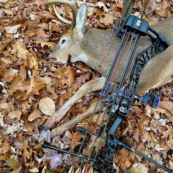 CHICAGO ARCHERY - Updated December 2025 - 19 Photos & 49 Reviews - 365 ...