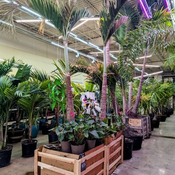 JUNGLE OF NILES OUTLET - Updated November 2025 - 145 Photos & 105 ...