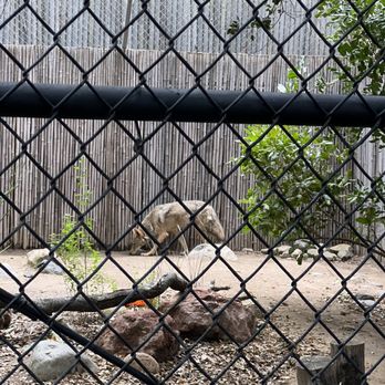 ORANGE COUNTY ZOO - Updated August 2024 - 1349 Photos & 377 Reviews - 1 ...