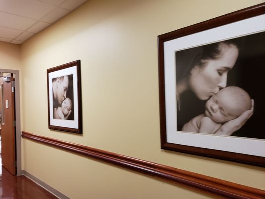 HOUSTON METHODIST SUGAR LAND HOSPITAL - Updated December 2025 - 56 ...