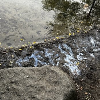 SPY POND - Updated December 2025 - 51 Photos & 24 Reviews - Pond Ln ...