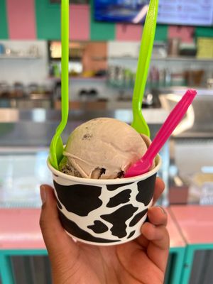 MOOOS CREAMERY - Updated October 2025 - 116 Photos & 88 Reviews - 1400 ...