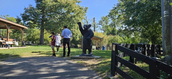 NOVA WILD - Updated October 2025 - 754 Photos & 257 Reviews - 1228 ...