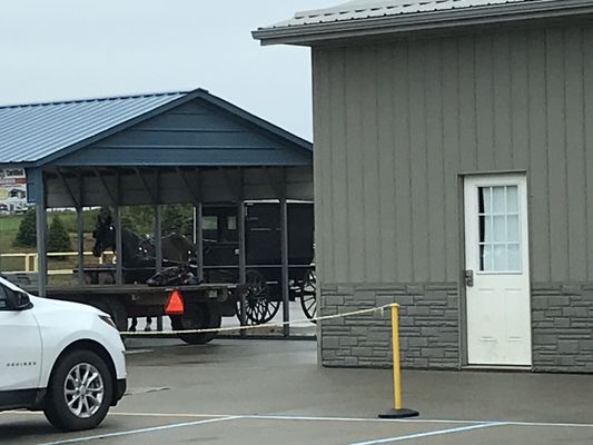 PINEVIEW DISCOUNT STORE - Updated December 2025 - 13 Reviews - 9200 S ...