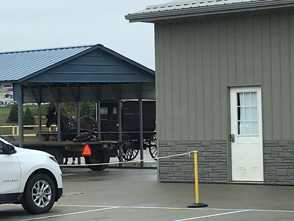 PINEVIEW DISCOUNT STORE - Updated August 2024 - 10 Reviews - 9200 S ...