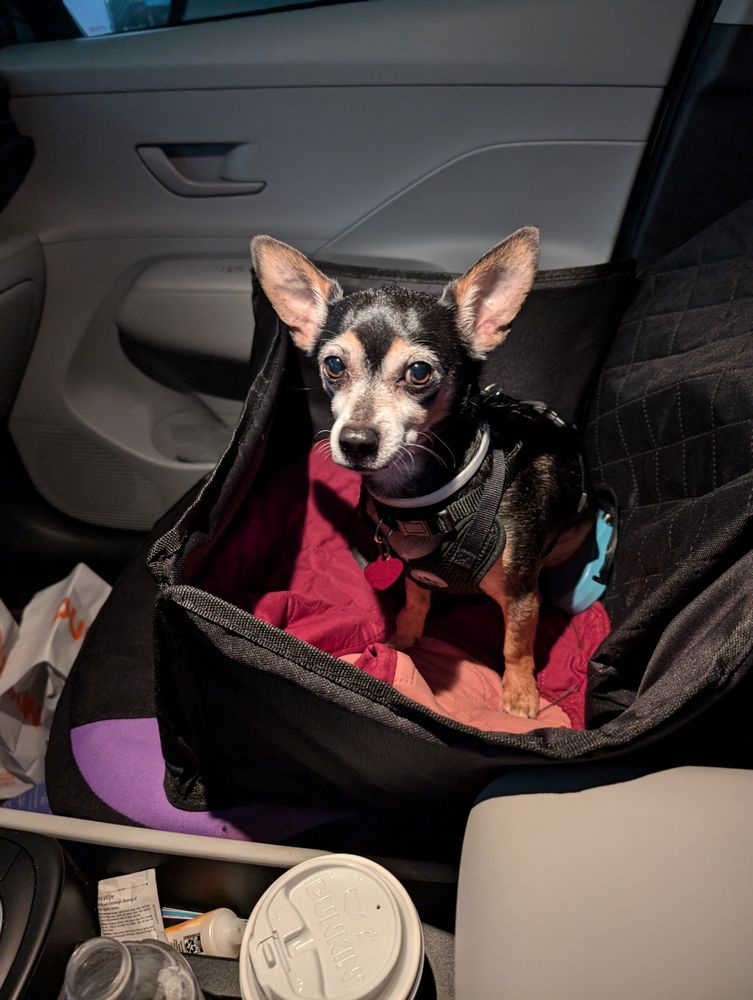 HAPPY PETS VETS - Updated August 2025 - 42 Photos & 134 Reviews - 18310 ...