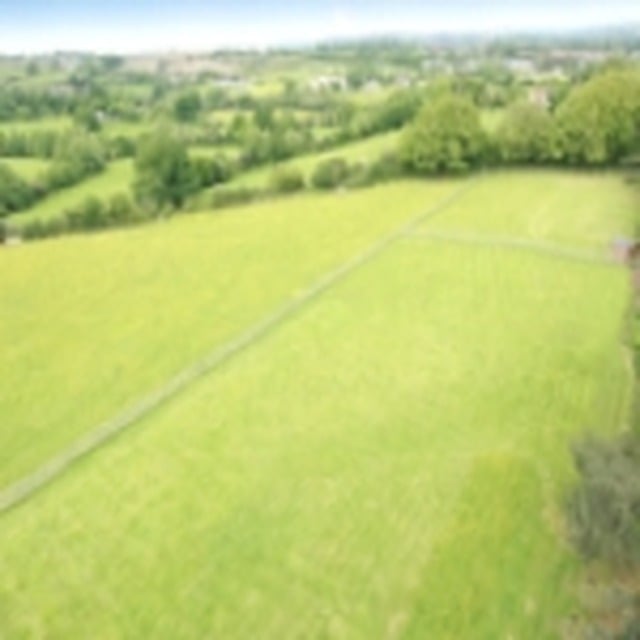 WEST RIDGE BUNGALOW - West Ridge, Devon, United Kingdom - Yelp