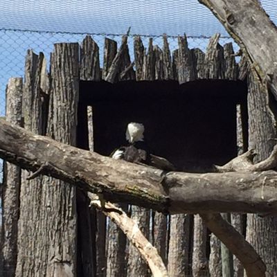 RED RIVER ZOO - 160 Photos & 30 Reviews - Zoos - 4255 23rd Ave S, Fargo ...