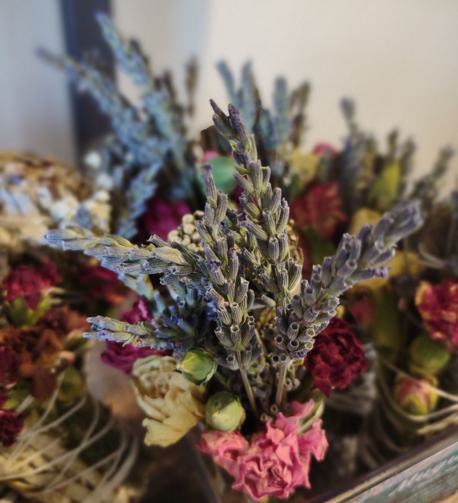 SPA DAZE - Updated December 2025 - 17 Photos & 70 Reviews - 6812 N ...