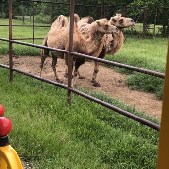 ZOOSIANA ZOO OF ACADIANA - Updated December 2025 - 78 Photos & 41 ...