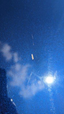 LUTE RILEY HONDA - Updated December 2025 - 81 Photos & 455 Reviews ...