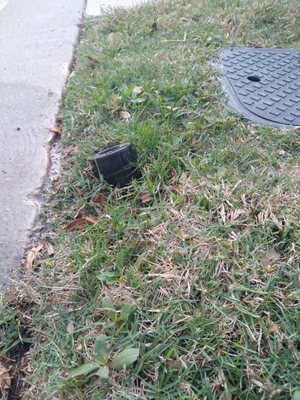 SBB COMMUNITY MANAGEMENT - Updated December 2025 - 17 Photos & 62 ...