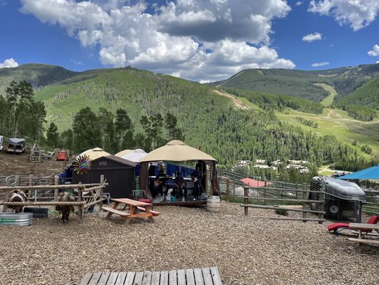 VAIL STABLES - Updated December 2025 - 202 Photos & 150 Reviews - 915A ...