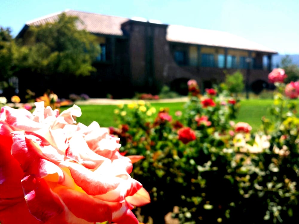 ALMADEN WINERY COMMUNITY CENTER - Updated December 2025 - 20 Photos ...