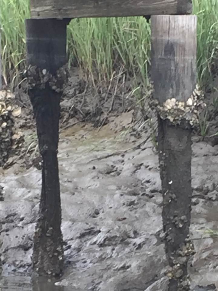 SNAPJACKET DOCK PILING REPAIR - Updated July 2025 - Wilmington Island ...