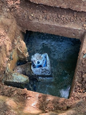 RooterPLUS! - Updated December 2025 - 81 Photos - 219 Reviews - 5834 ...