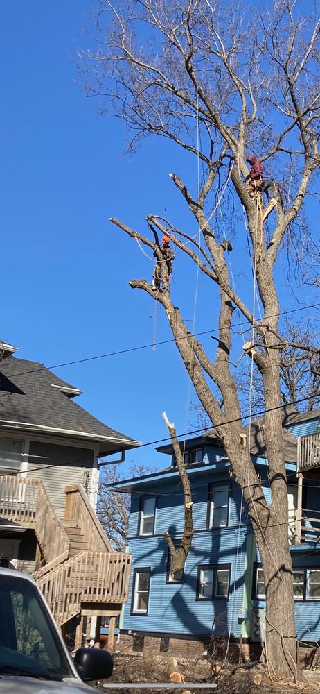 GOOD GUYS TREE SERVICE - Updated December 2025 - Des Moines, Iowa ...